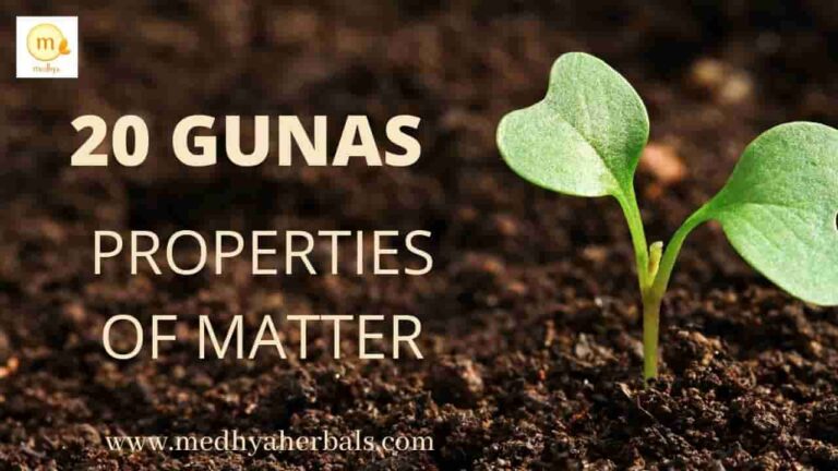 20 Gunas of Ayurveda form the Foundation of Ayurvedic Treatment