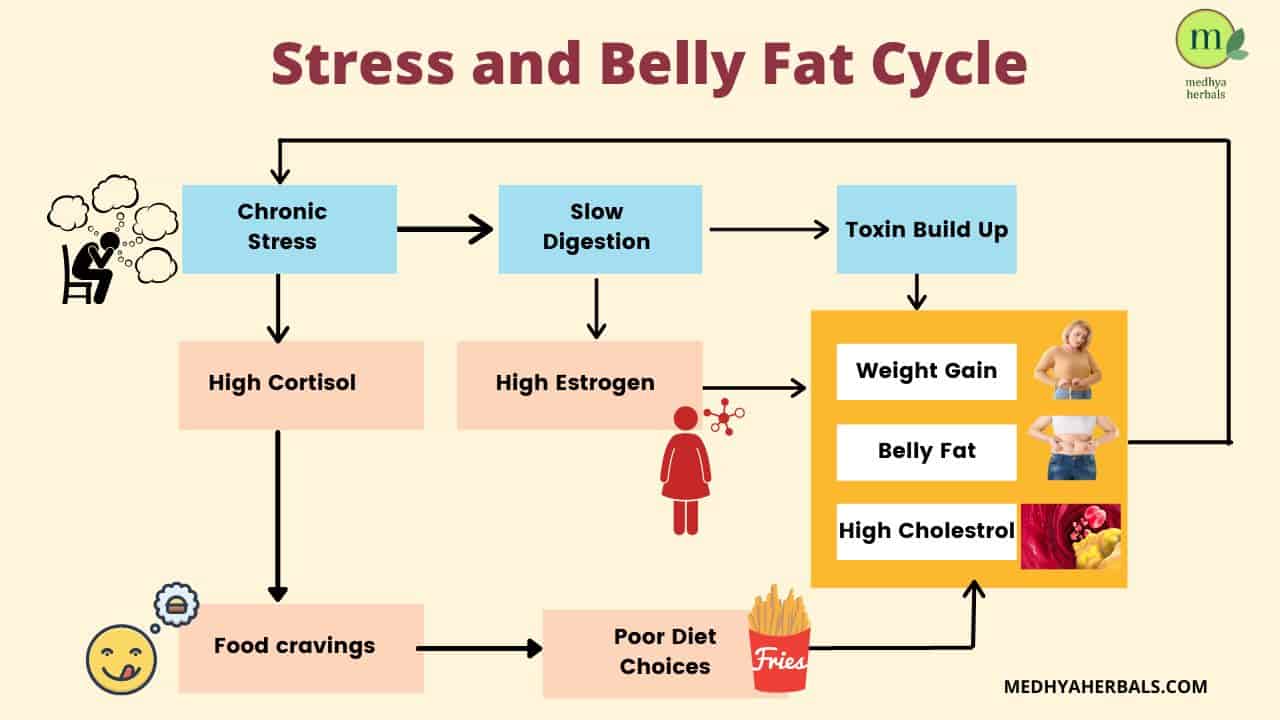 Stress Belly: Ayurvedic Guide to Hormones, Stress, Belly Fat