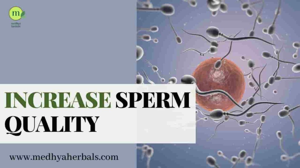 How to Make Sperms Thicker and Stronger with Ayurveda How to Make Sperms Thicker and Stronger with Ayurveda