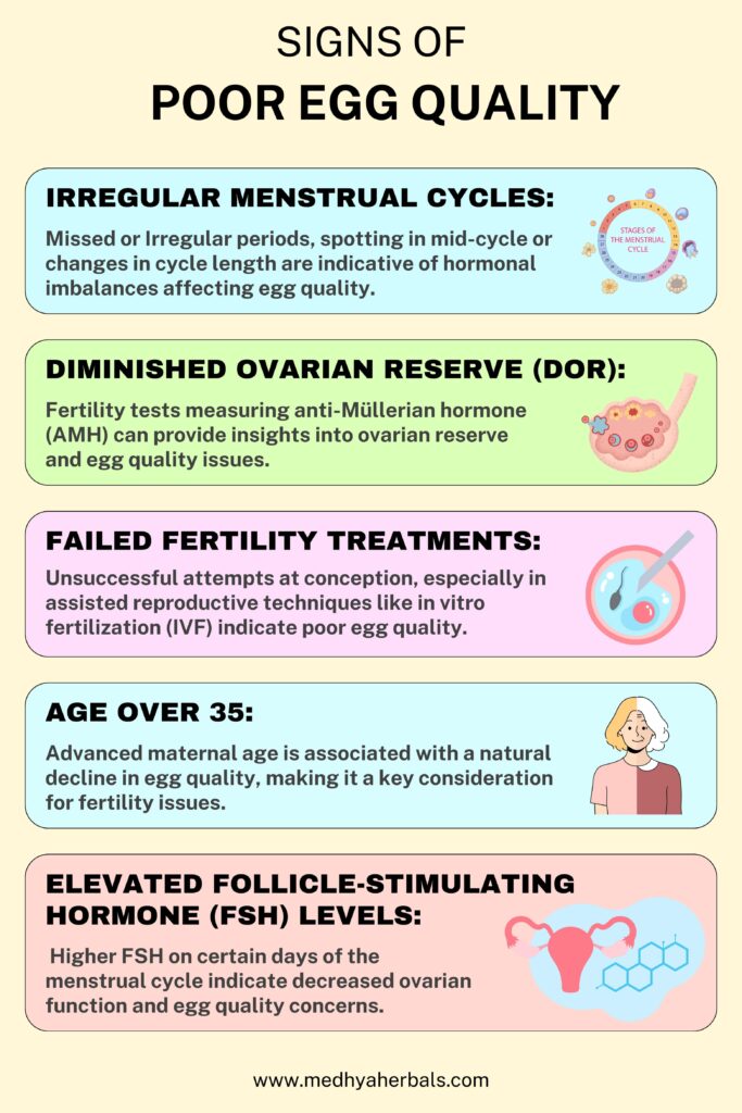 How to Improve Egg Quality: A Guide to Nourish Your Ovaries
